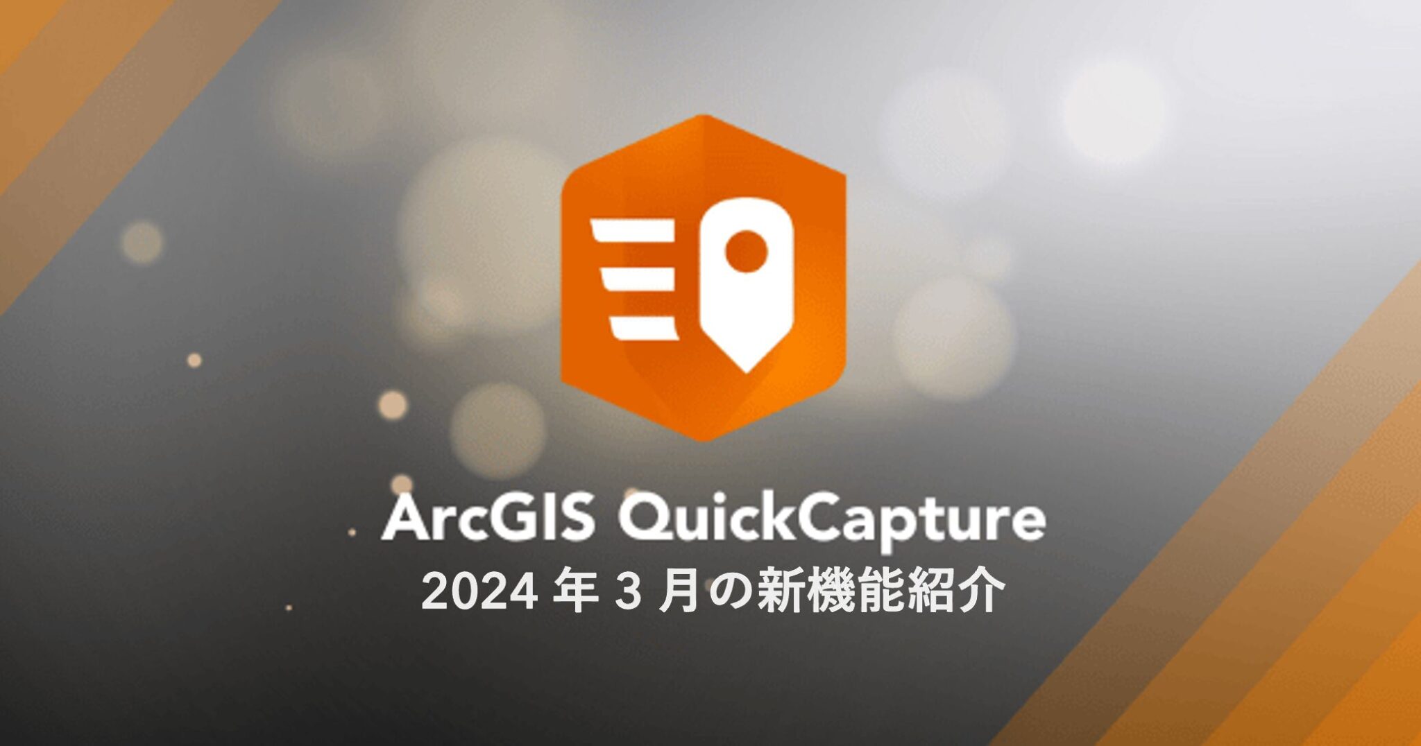 ArcGIS QuickCapture 2024 年 3 月の新機能